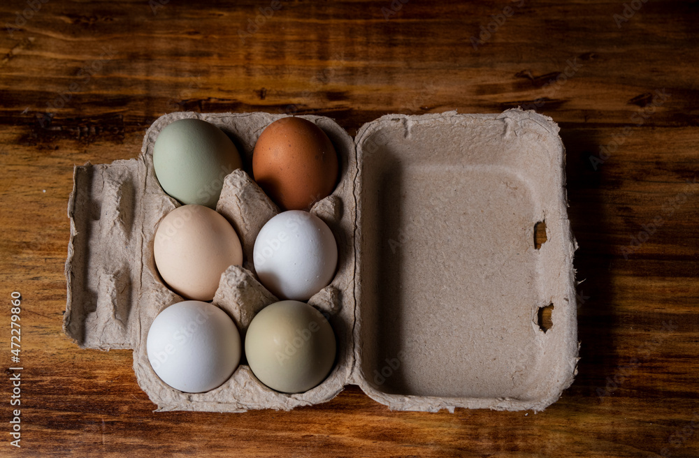 Caja de huevos de granja orgánicos libre pastoreo varios colores ...