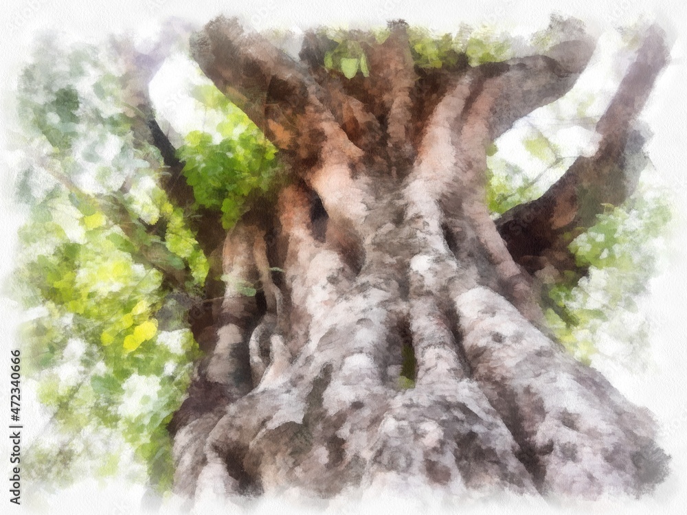 Banyan Tree Painting