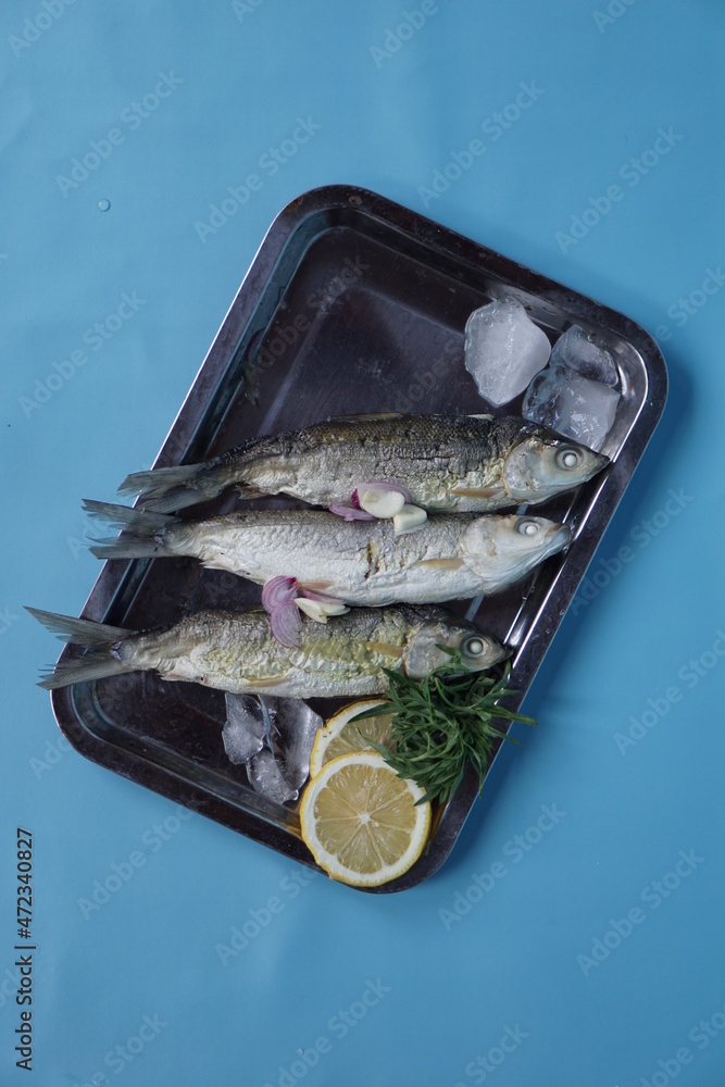 Milkfishes photography for business and presentation Stock Photo ...