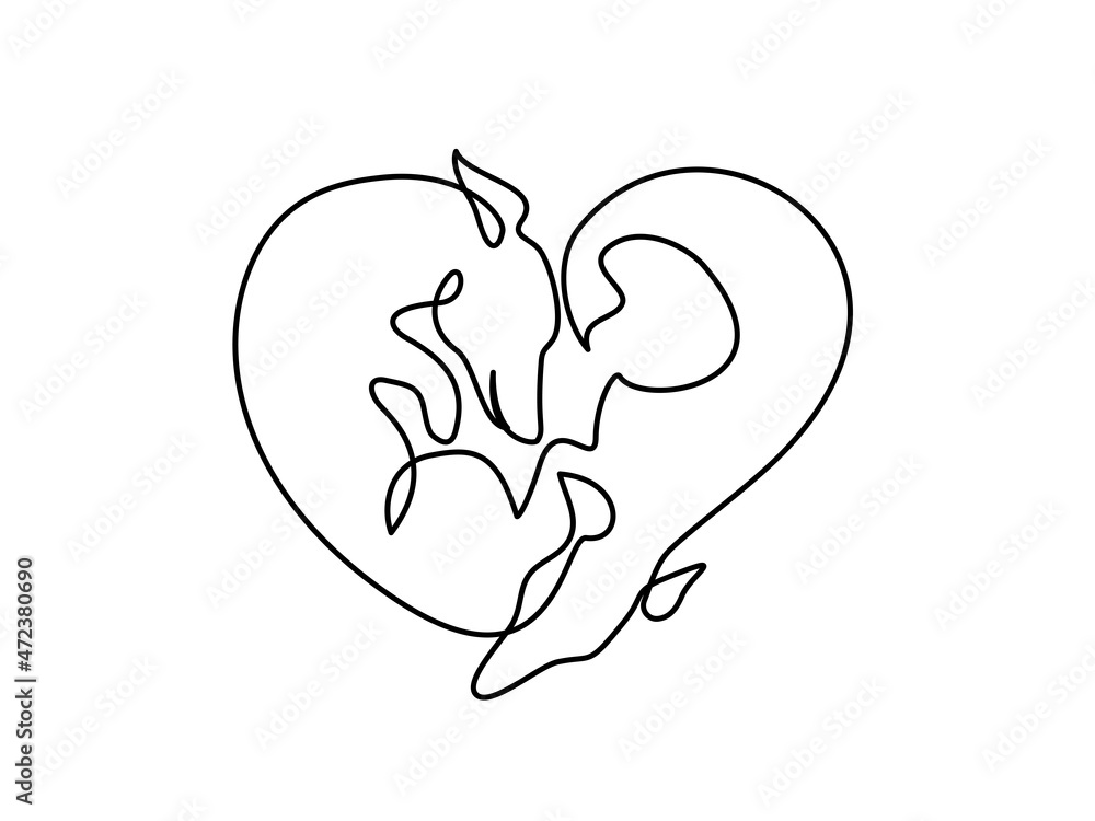 Whippet ,greyhound realistic silhouette outline on white background ...