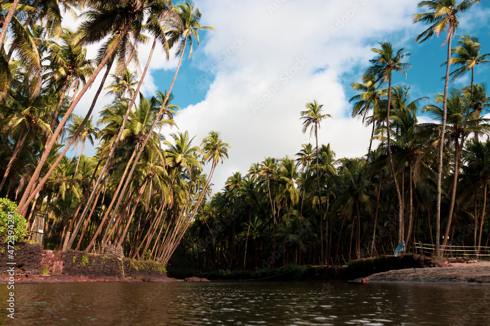 Cabo de Rama Backwaters - Goa, India Stock Photo | Adobe Stock