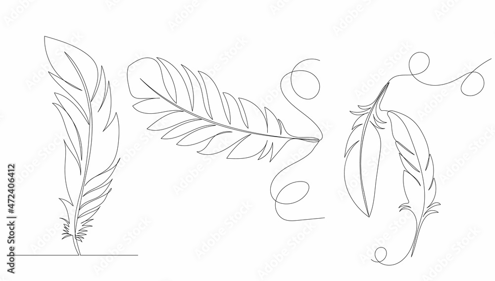 bird feather drawing by one continuous line, vector Stock Vector ...