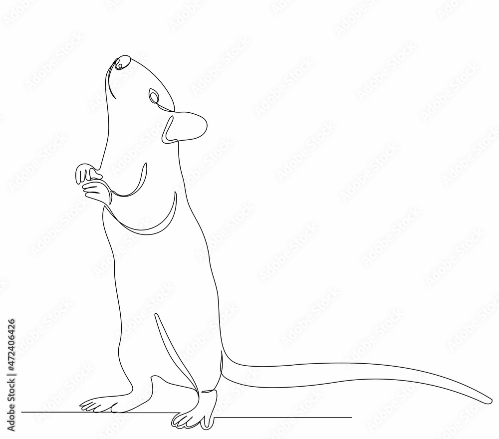 rat, mouse one continuous line drawing Stock Vector | Adobe Stock