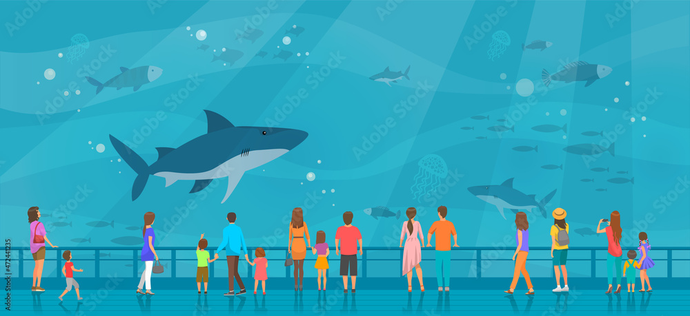 People watching underwater scenery with sea animals in oceanarium ...