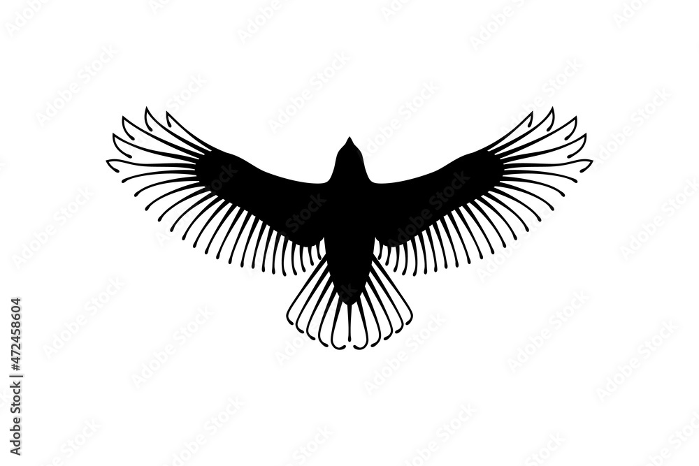 Engraving of stylized hawk. Decorative bird. Linear drawing. Flying ...