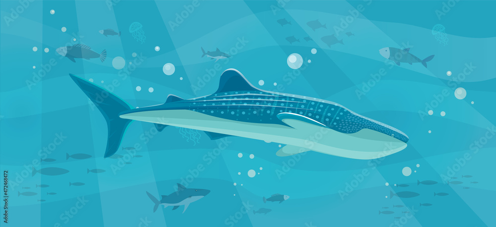 Underwater landscape with large predatory marine fish. Whale swimming ...