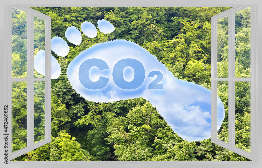 Carbon footprint concept with CO2 text and footprint shape against ...