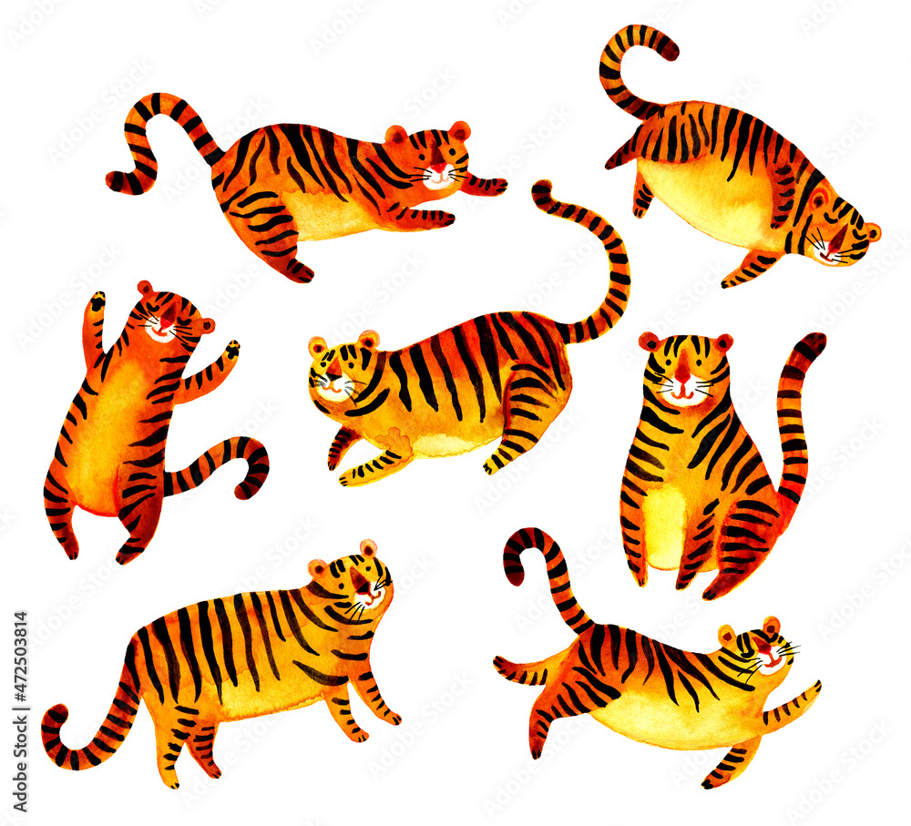 Cute fat tigers painted in watercolor. A set of animals on a white ...