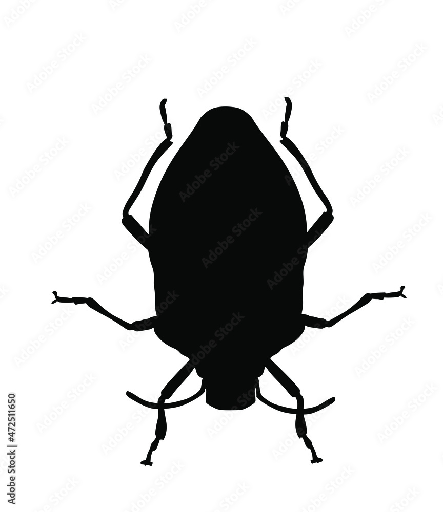Stink bug vector silhouette illustration isolated on white background ...