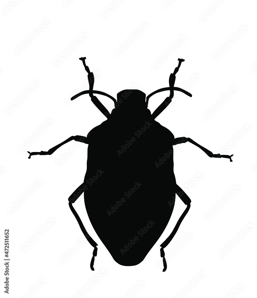 Stink bug vector silhouette illustration isolated on white background ...