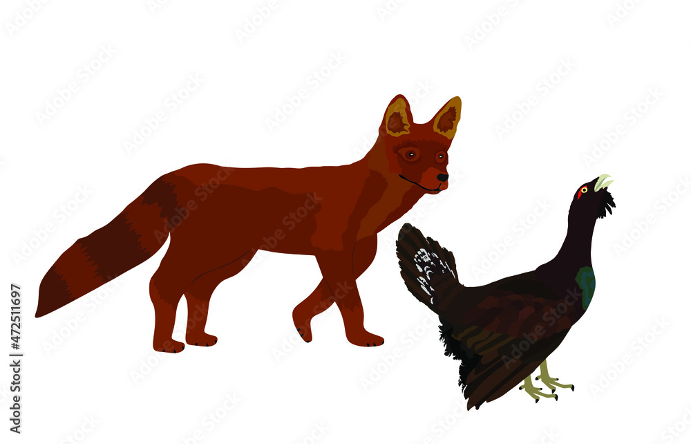 Cunning fox lurks a wood goose vector illustration isolated on white ...