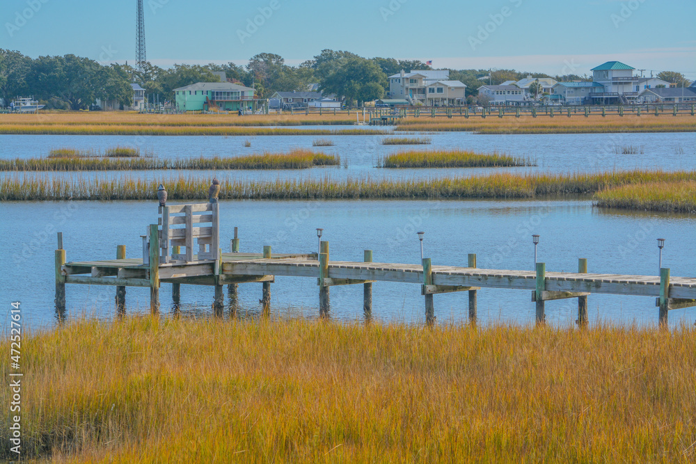 The freshwater wetlands of White Oak River on the Atlantic Coastal ...