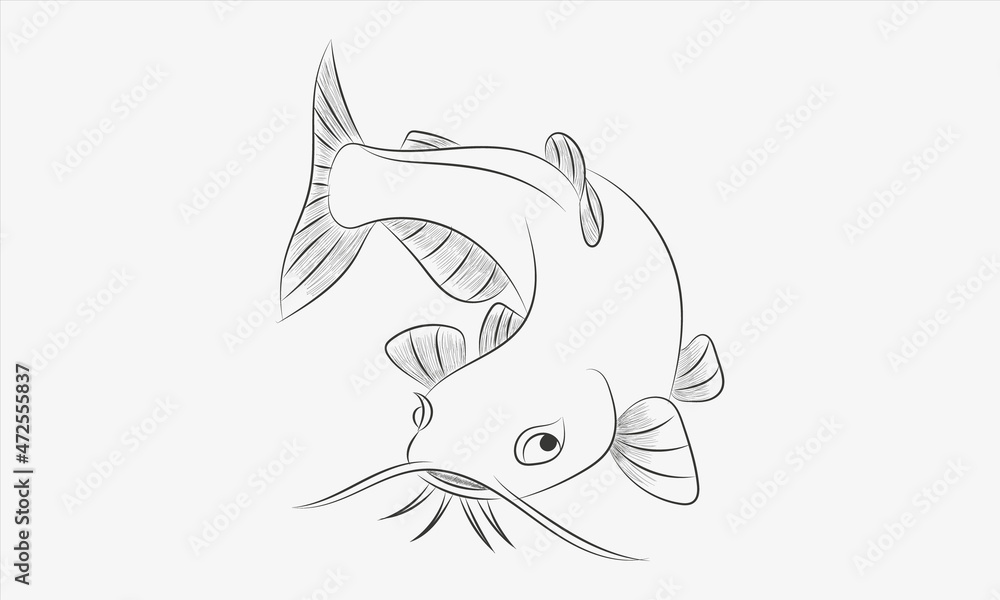 Hand draw catfish illustration Stock Vector | Adobe Stock
