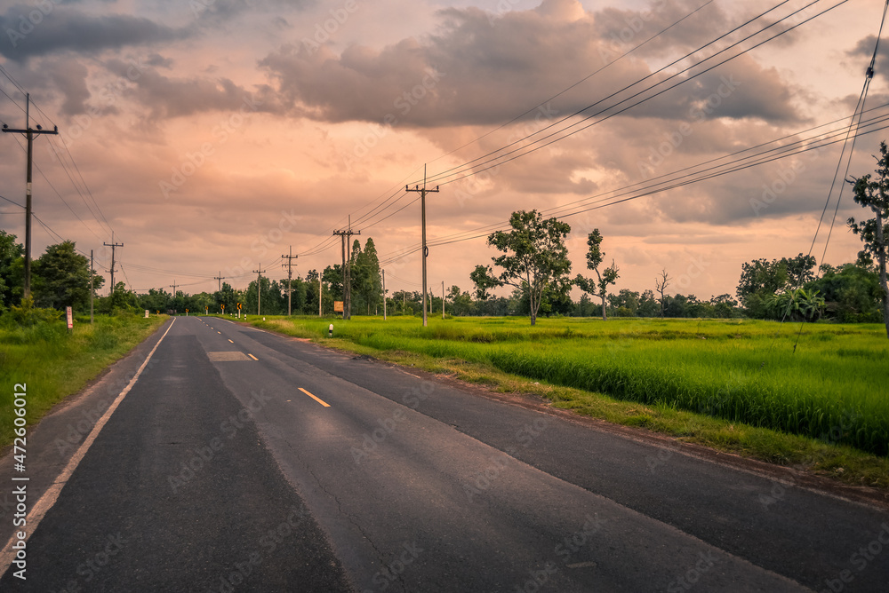 Rural roads with fields and skies background.Country Road.Paddy rice ...