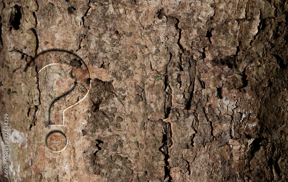 Question mark illustration. Stock Photo | Adobe Stock