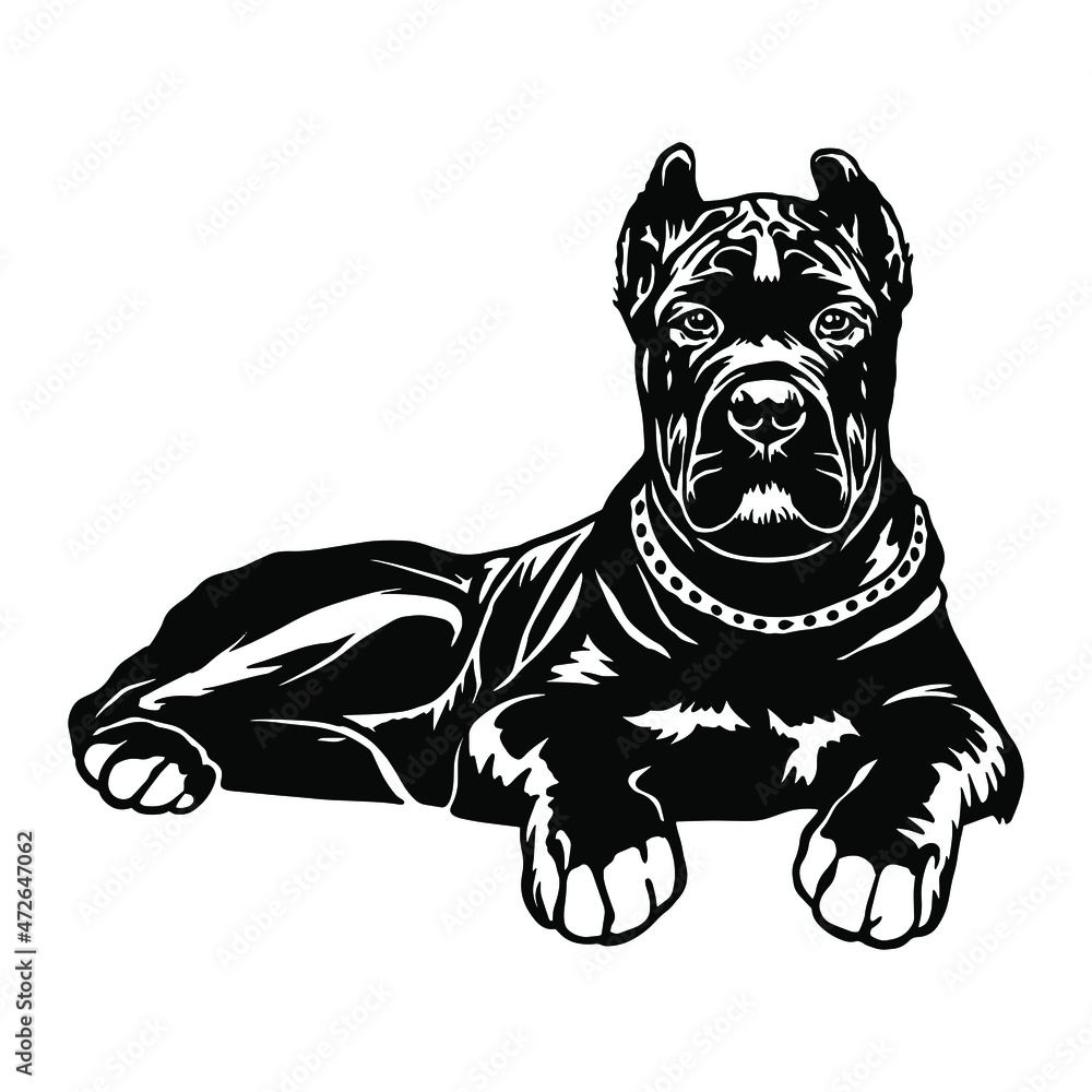 Poster Cane Corso dog clipart – Wall Art | UkPosters
