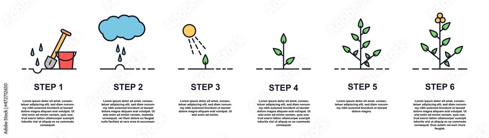 Growing plant stages. Steps for growing tree. Caring for environment ...