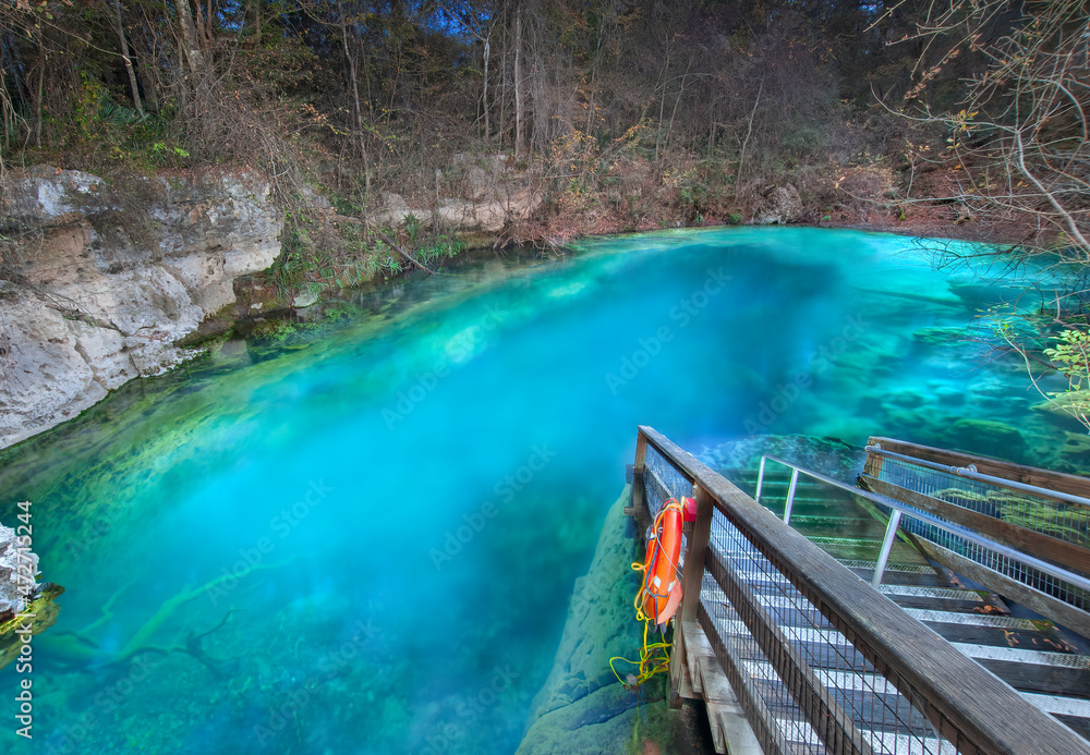 Orange Grove Sink Illuminated at Night, Wes Skiles Peacock Springs ...