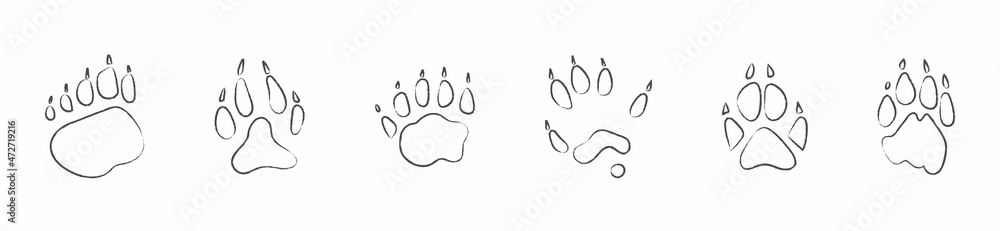 Animals footprints, paw prints. Set of different animals and birds ...