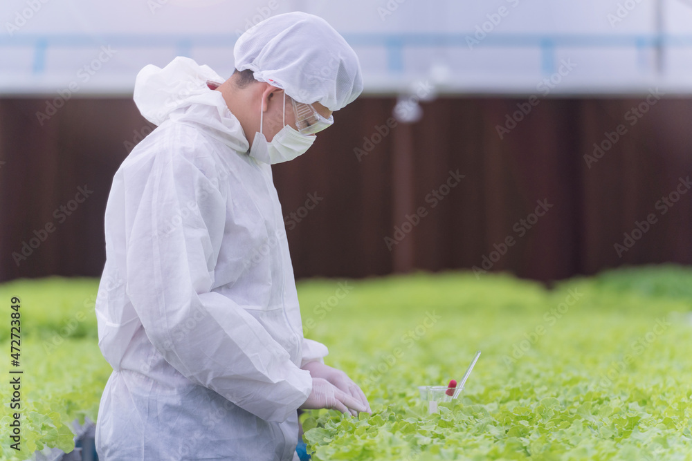 Scientist checking and testing water chemical for feeding a plant ...
