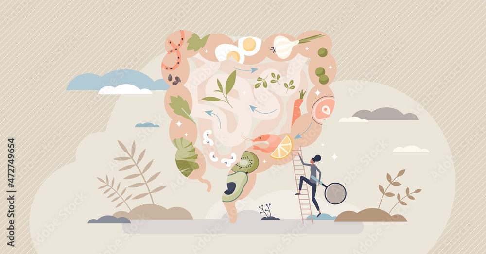 Gut health and healthy food consumption with eating diet tiny person ...