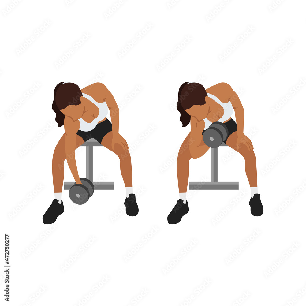 Woman doing Seated Dumbbell concentration curls exercise. Flat vector ...