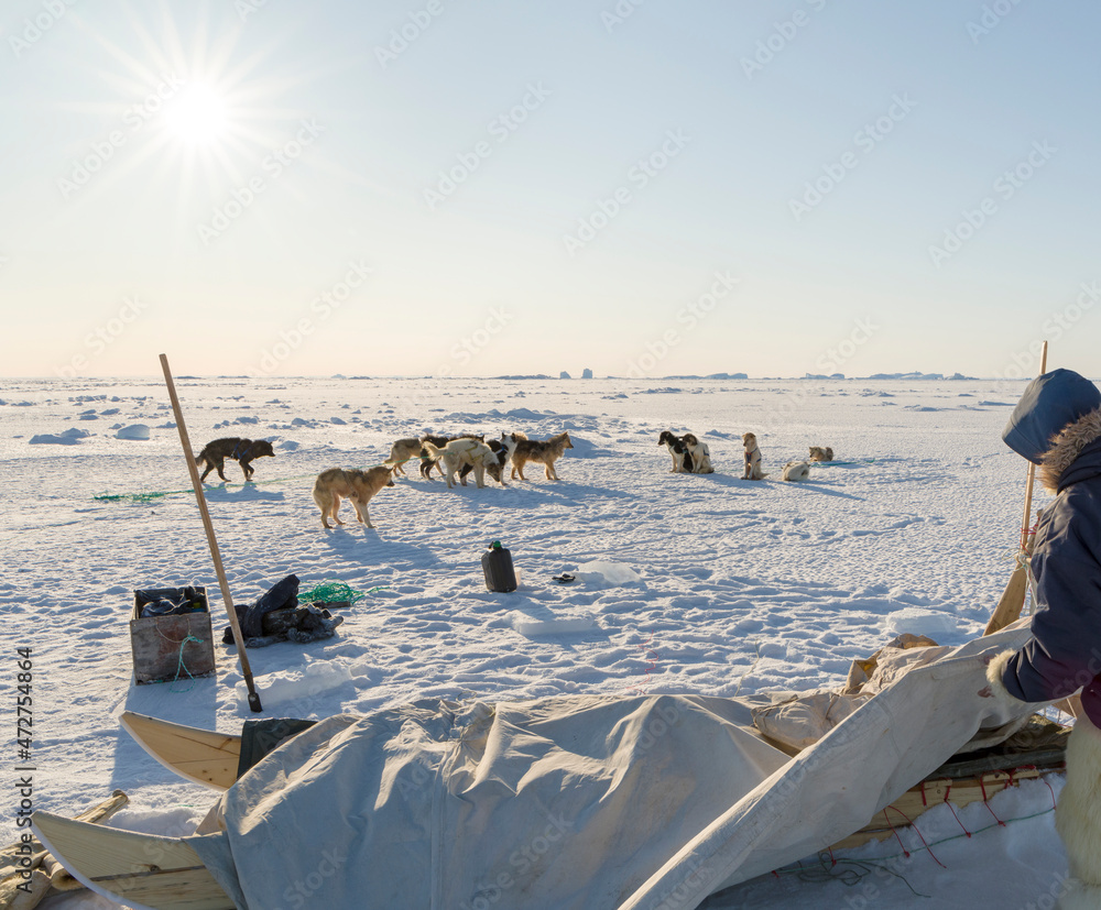 Foto de Inuit hunter wearing traditional trousers and boots made from ...