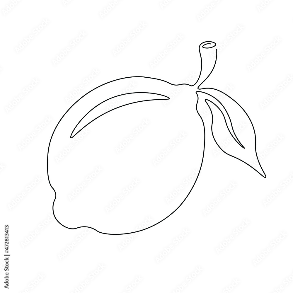 Lemon line drawing vector. Isolated icon. Fruits Vector. Design linear ...