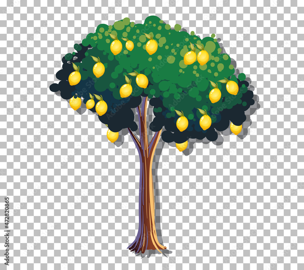 Lemon tree on transparent background Stock Vector | Adobe Stock