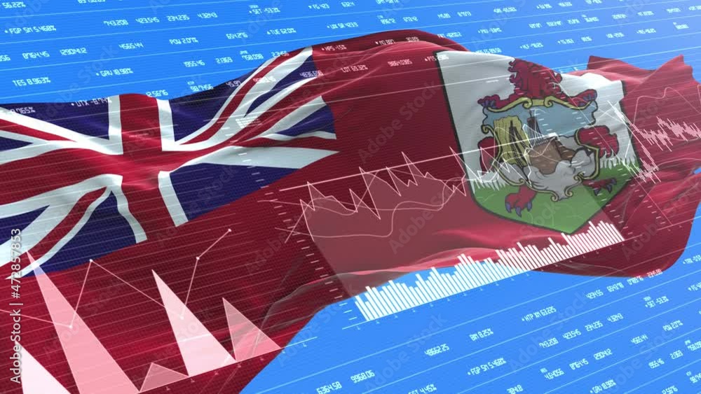 National report, graph, data, infographics Stock Video | Adobe Stock