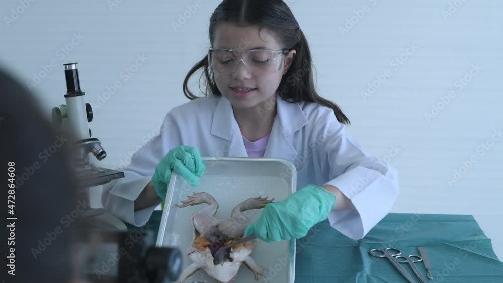 Education concept of 4k Resolution. A young girl explains about an ...