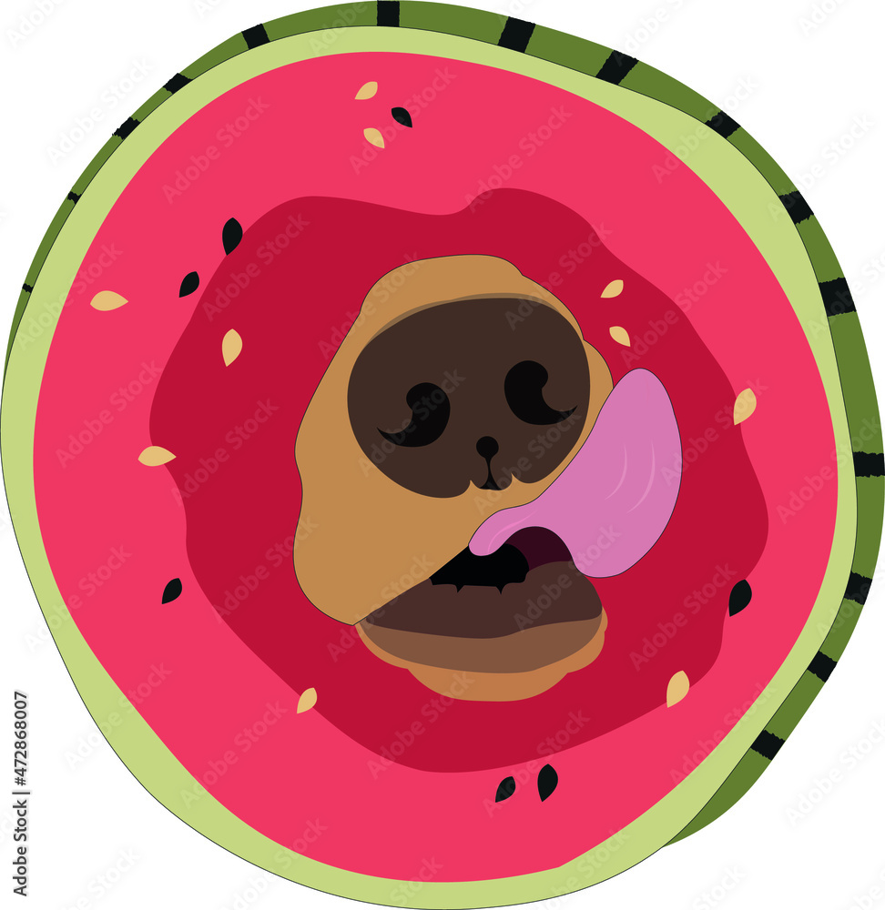 cartoon watermelon, cartoon dog, dog and watermelon, vector drawing ...