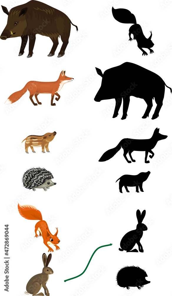 Find the right shade. Educational children matching game with cartoon ...