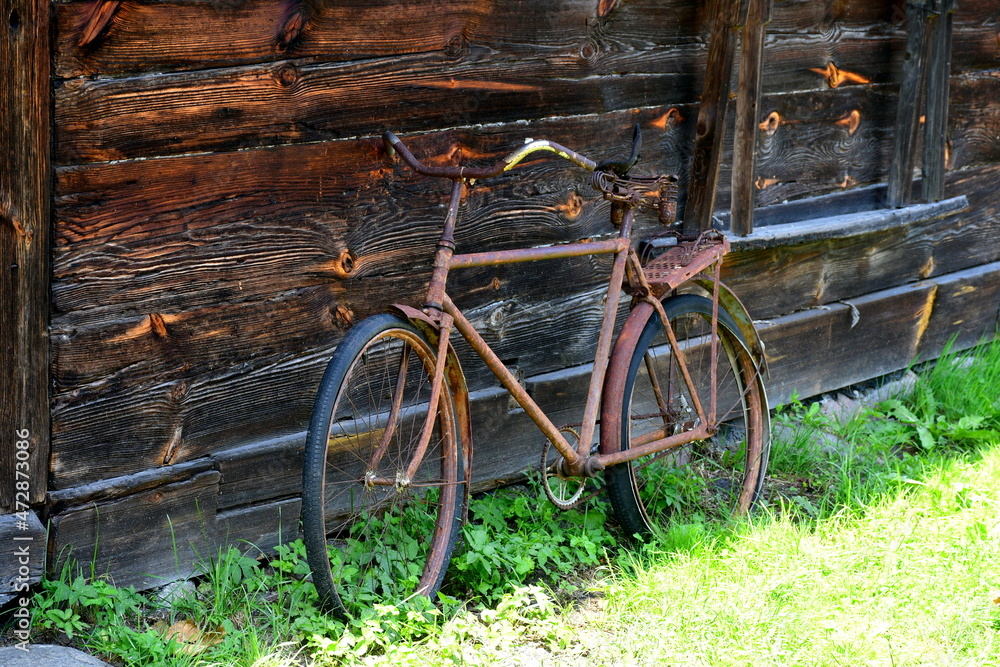 A close up on an old rusty bike with its frame completely covered with ...