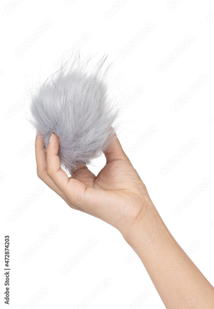Hand holding Grey fur ball isolated on white background Stock Photo ...