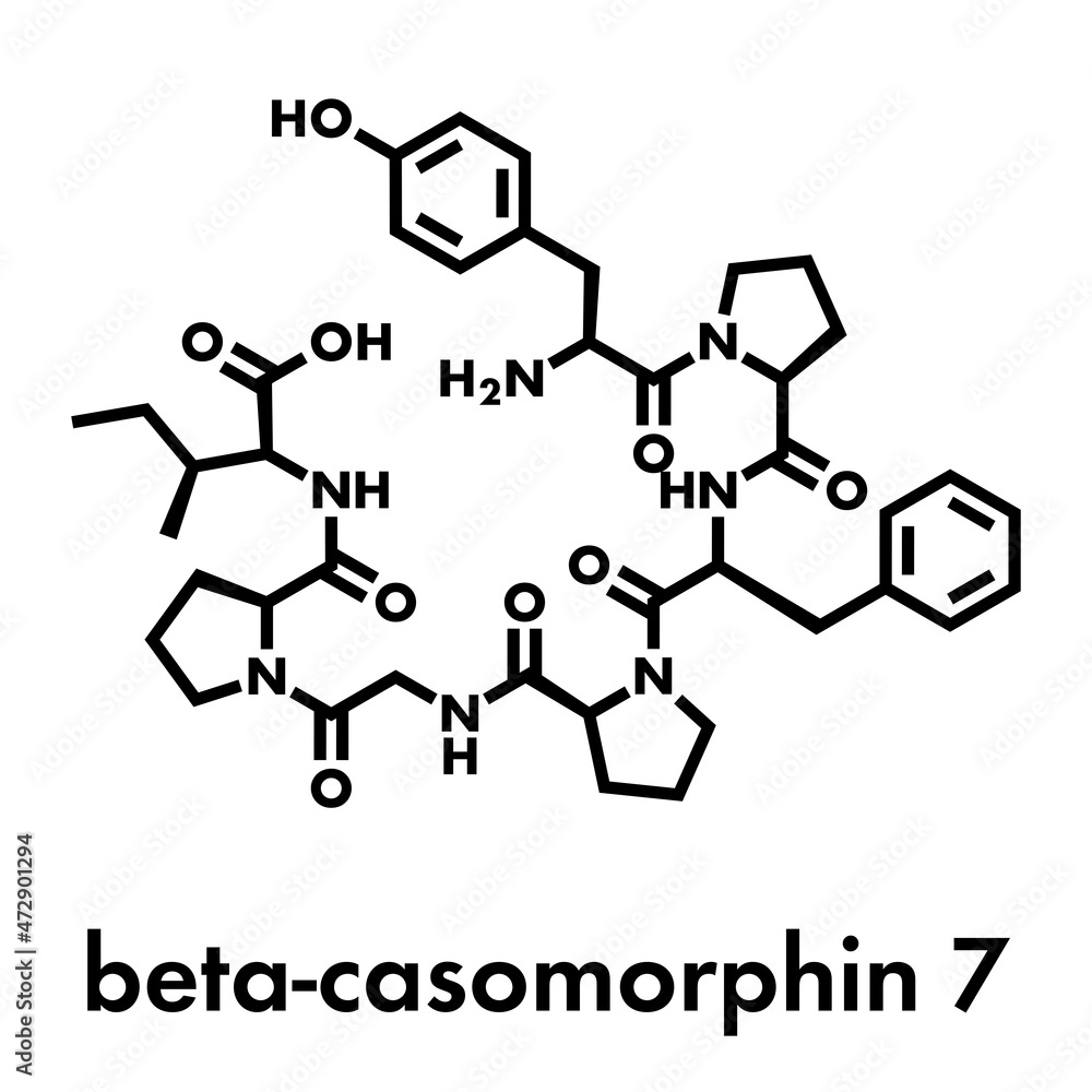 Beta-casomorphin peptide 7 molecule. Breakdown product of casein that ...