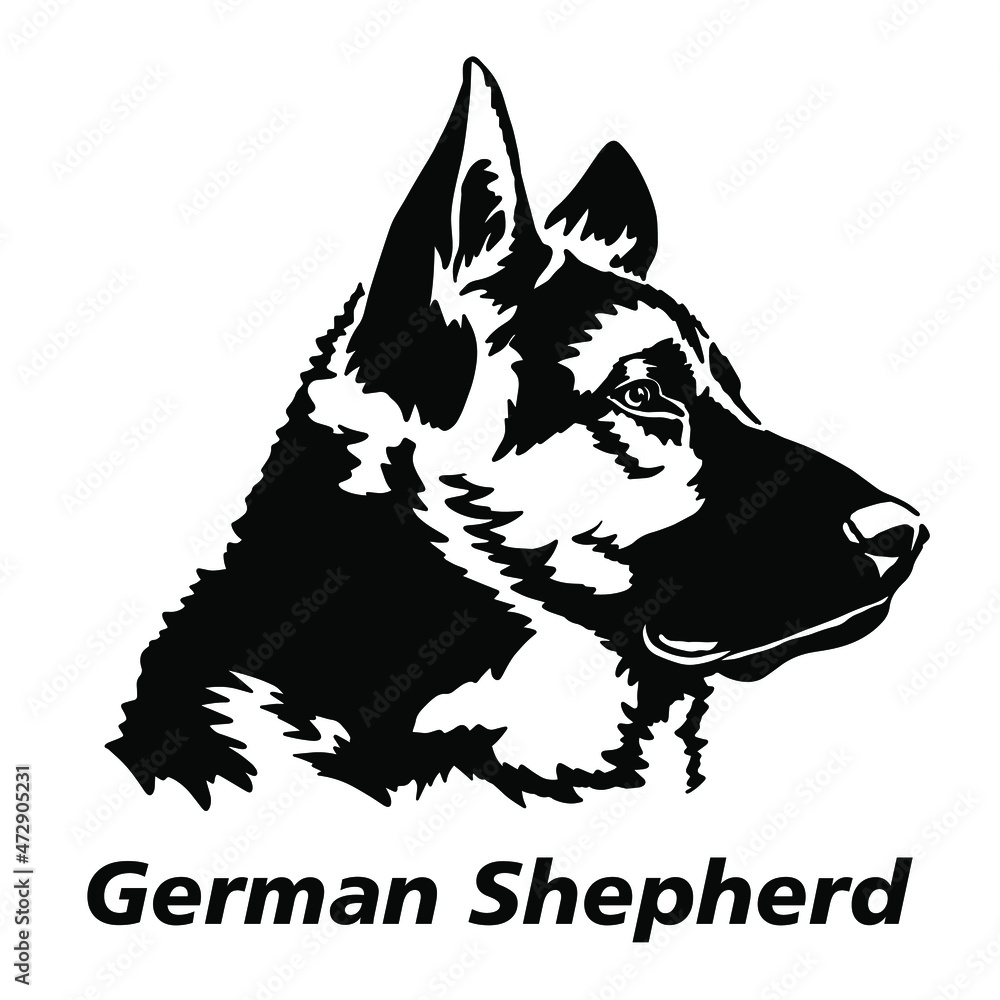 German Shepherd Dog - Profile - Breed Face Head Isolated On White ...