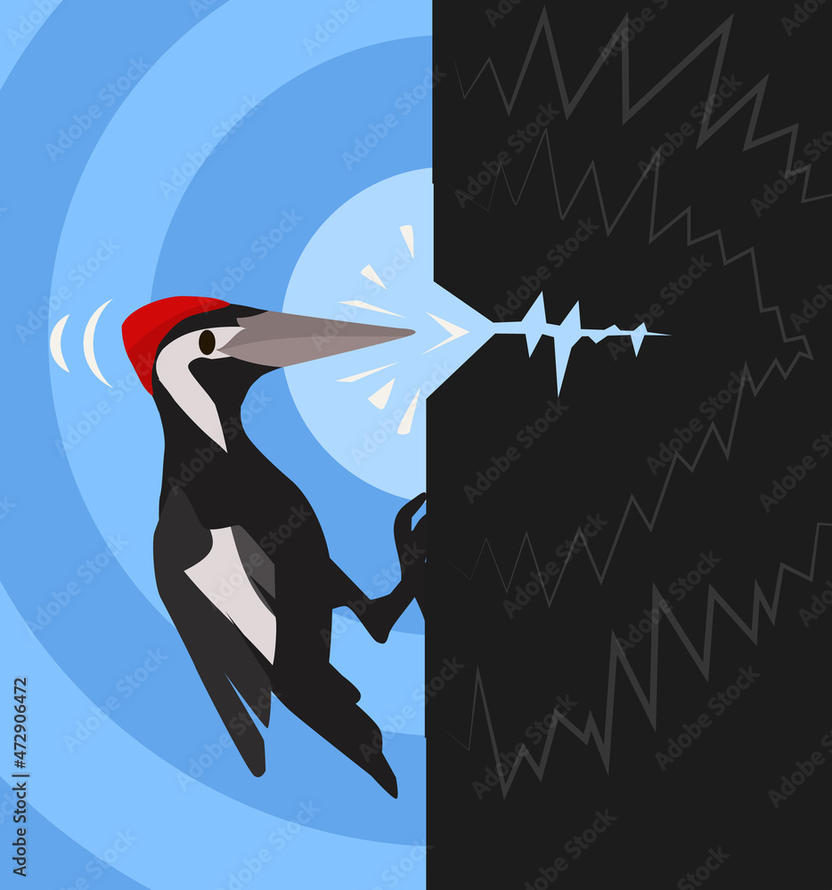Woodpecker Peck Cartoon Stock Vector | Adobe Stock