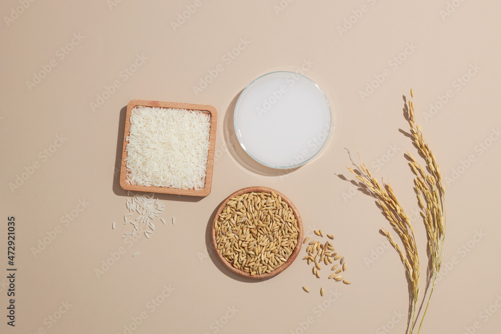 wheat and rice extract in petri dish purple background with cosmetic ...
