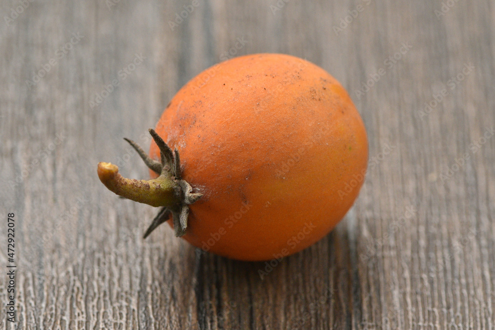 Mimusops elengi, Tanjung in Indonesia language, is a medium sized ...