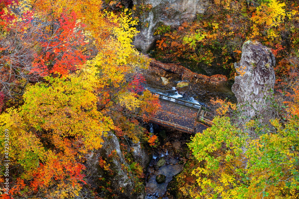 Naruko Gorge valley with rail tunnel in Miyagi Tohoku Japan Stock Photo ...