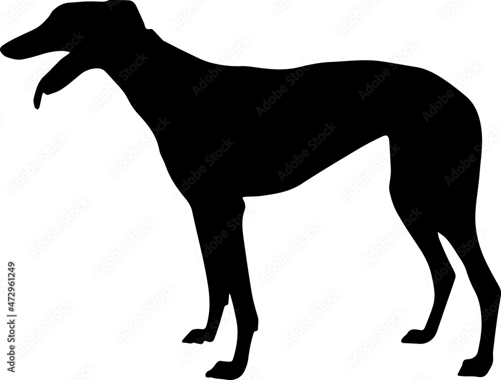Greyhound Dog Silhouettes SVG Greyhound SVG Stock Vector | Adobe Stock