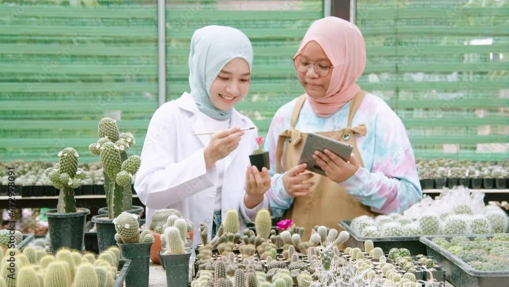 Muslim agriculture botanist startup business woman owner cactus flower ...
