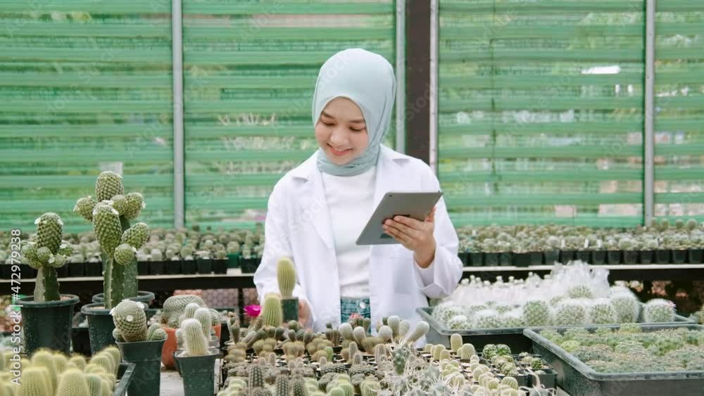 Muslim agriculture botanist startup business woman owner cactus flower ...