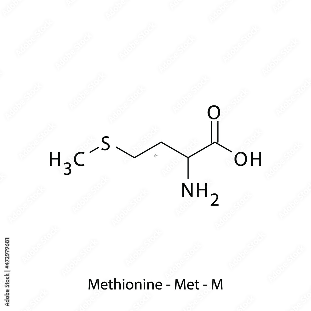 Methionine - Met - M - Essential Amino Acid simple skeletal formula and ...