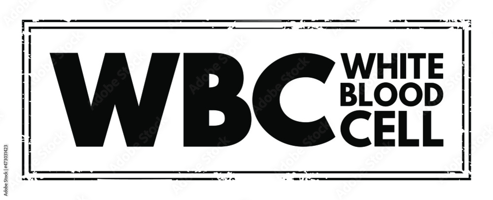 WBC - White Blood Cell acronym, medical concept background Stock Vector ...