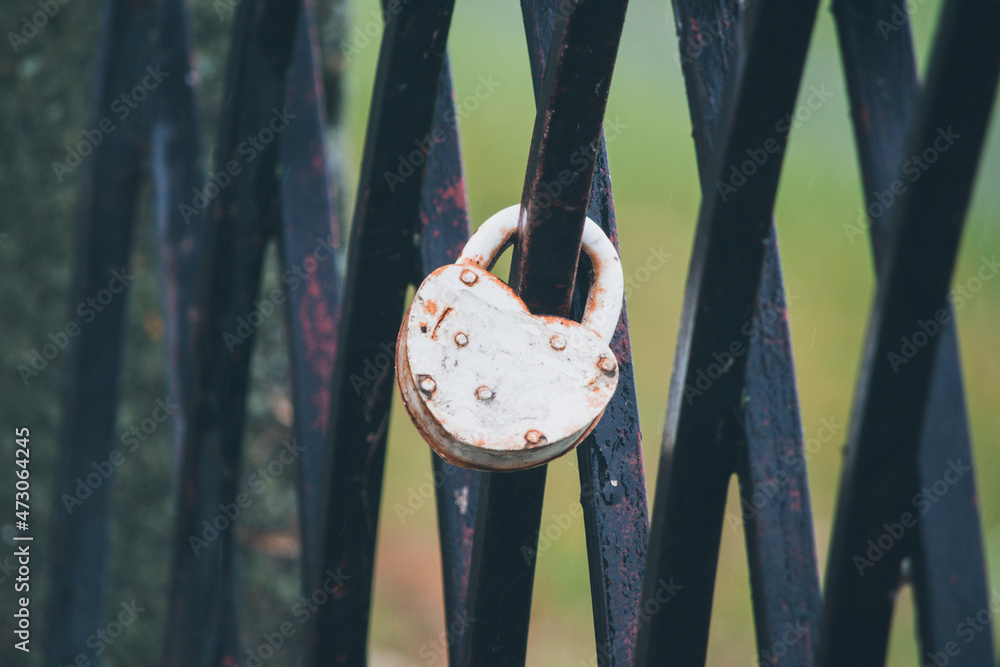 Old rusty lock on a metal gate into the garden. Lock on the iron gate ...
