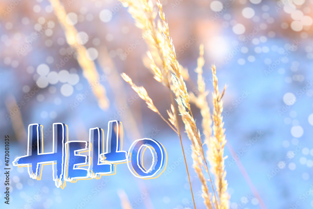 Hand drawn lettering winter phrase on blurred landscape background ...