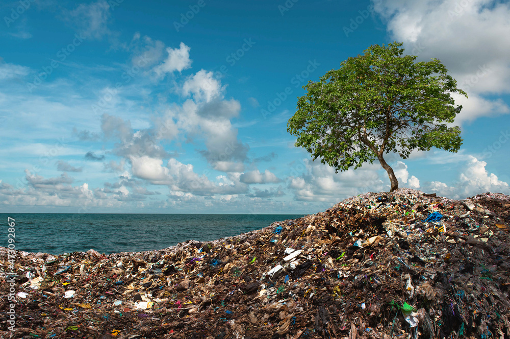 Tree grows between Mountains of Trash. In unreal surreal environment ...