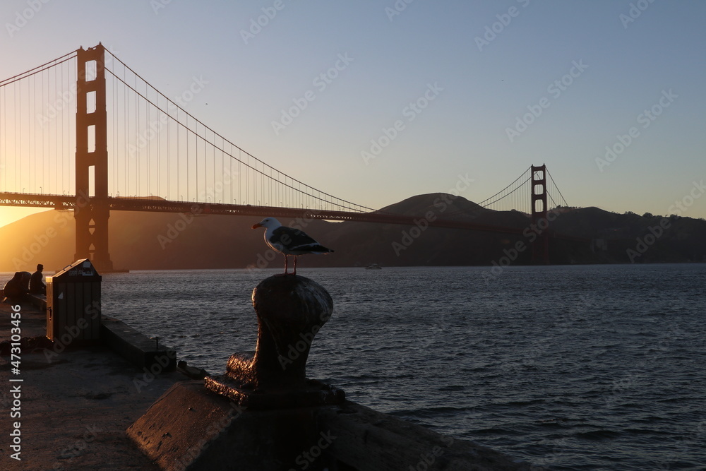 Foto de Amazing walk at the Golden Gate Bridge in San Francisco, United ...